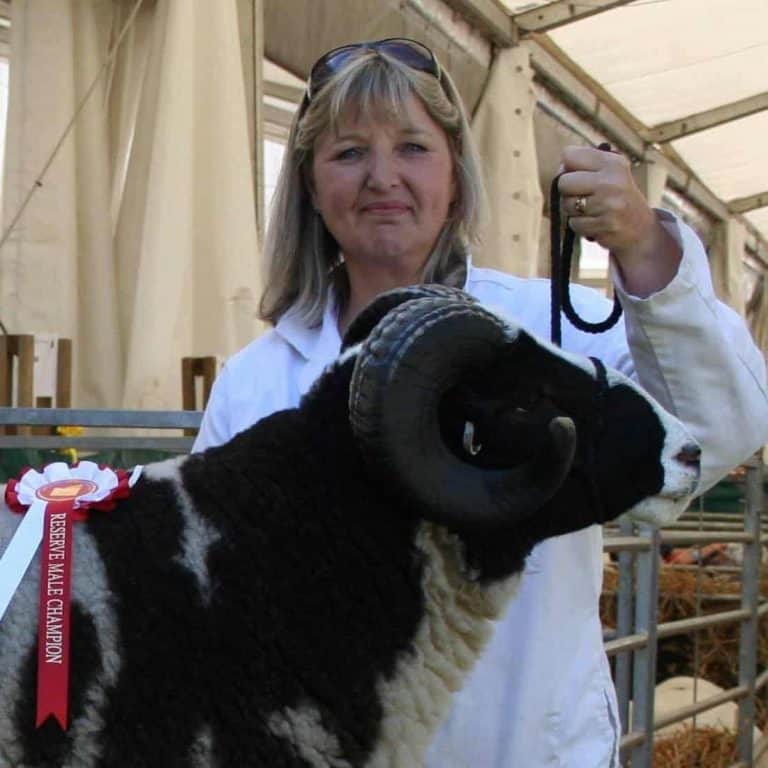 Organisational Structure - The Jacob Sheep Society
