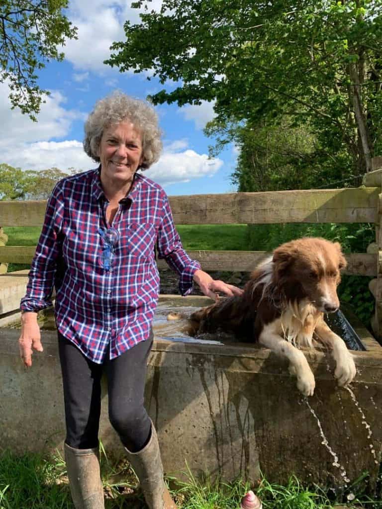 Organisational Structure – The Jacob Sheep Society