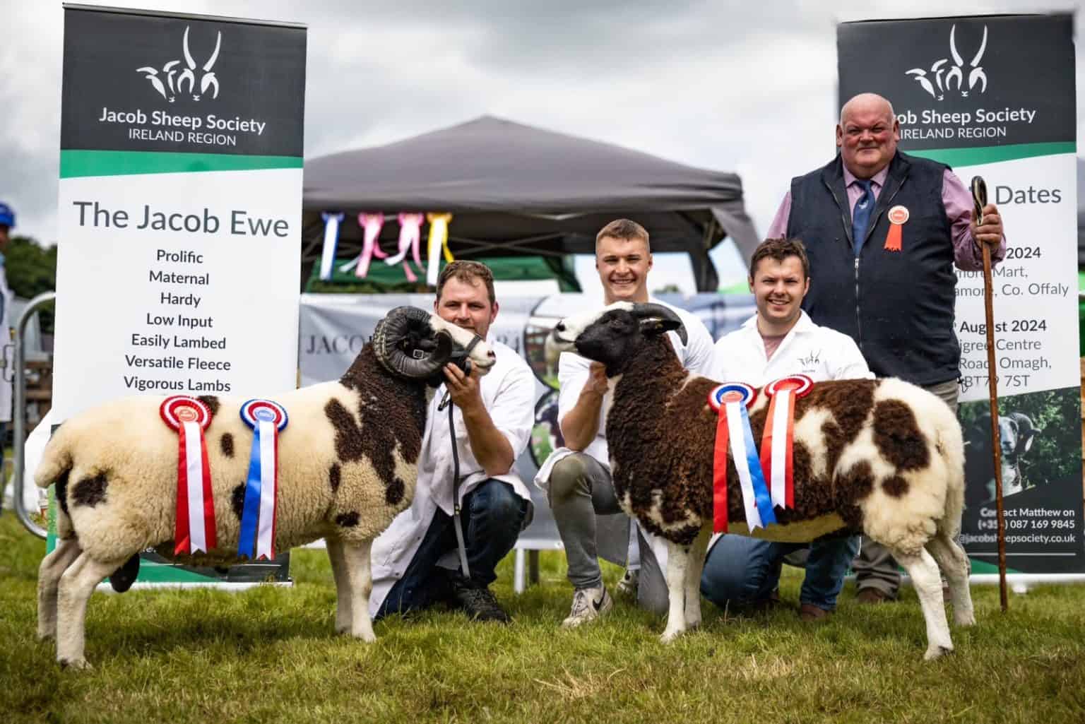 Ireland - The Jacob Sheep Society