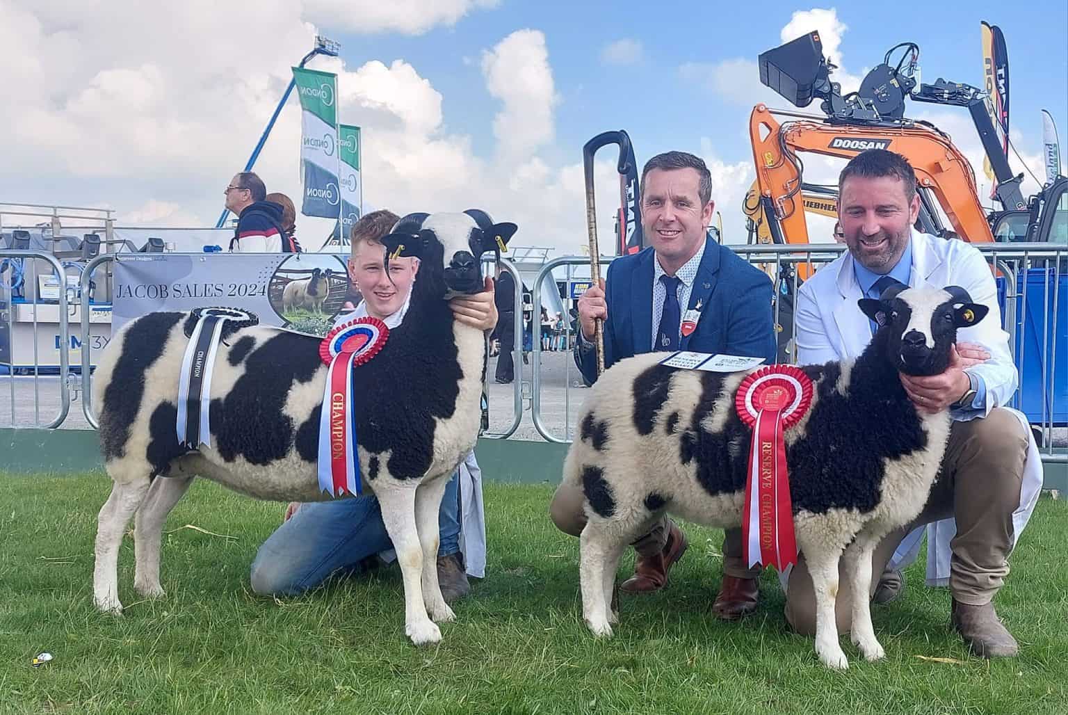 Ireland - The Jacob Sheep Society