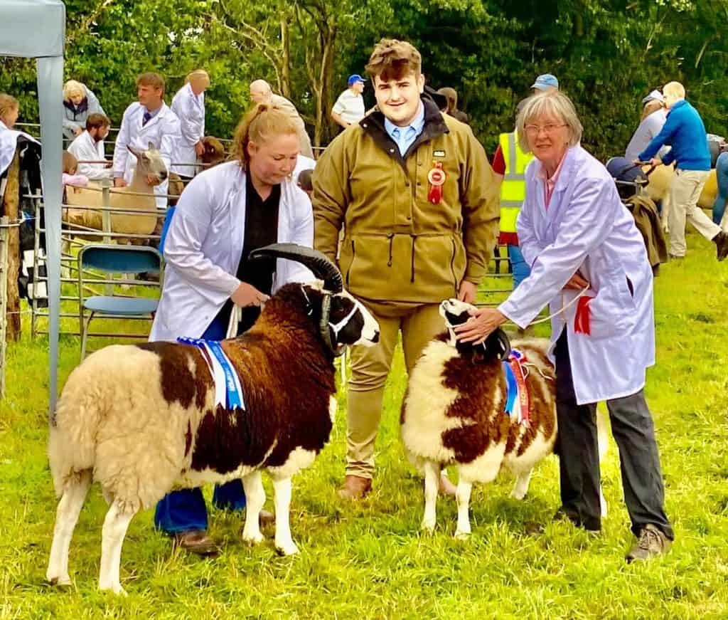 Wales Nov 2024 - The Jacob Sheep Society